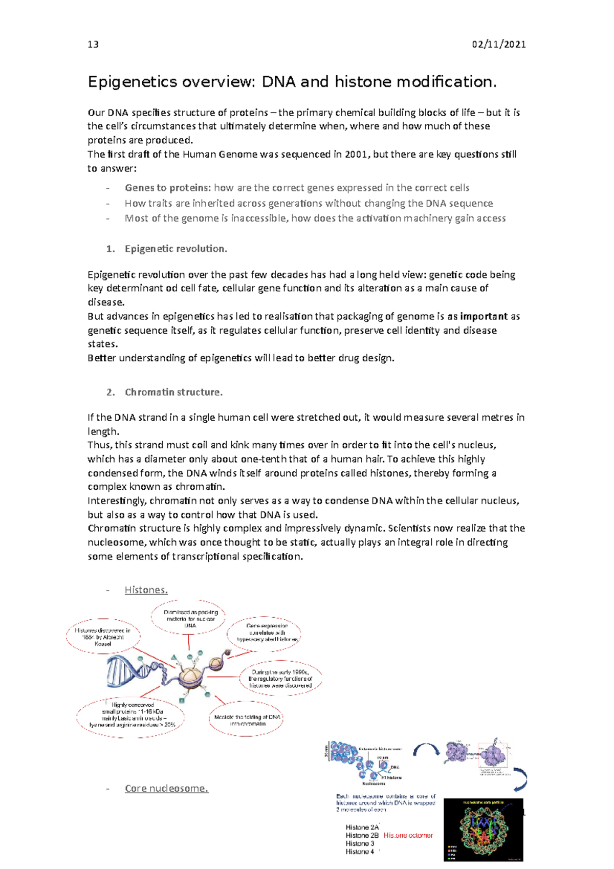 Epigenetics overview - Our DNA specifies structure of proteins – the ...