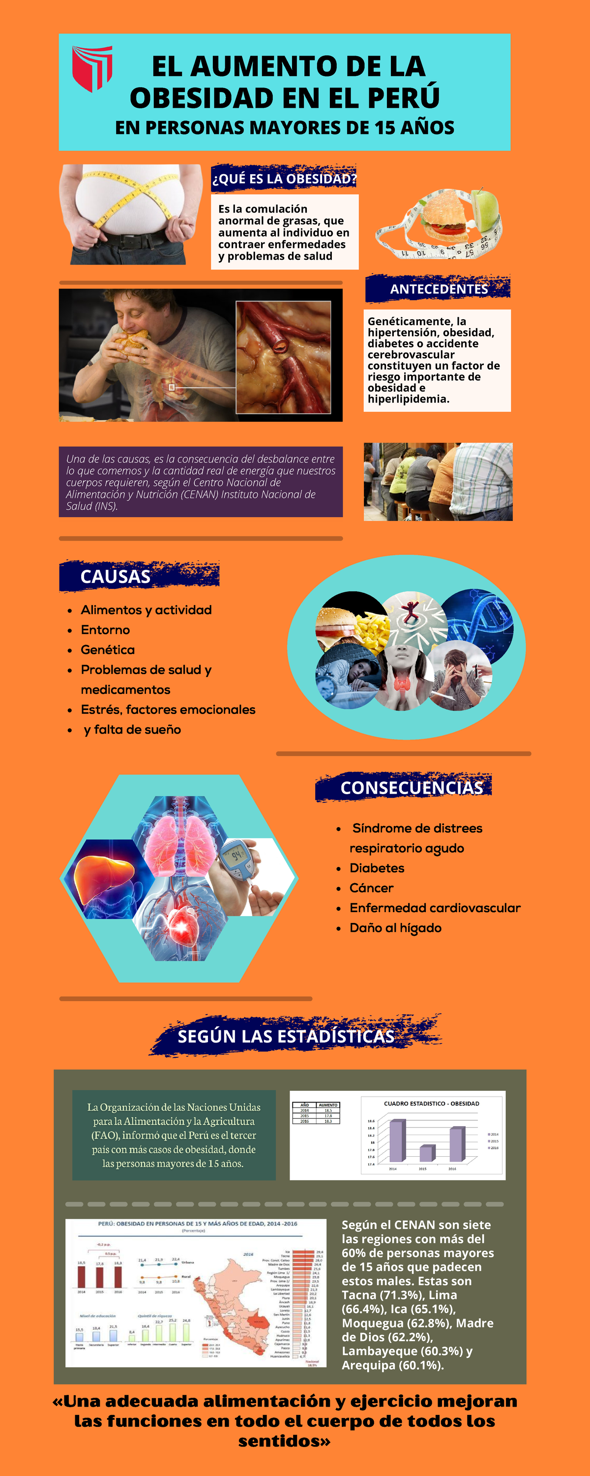 Infografia Grupo 2 - DGDGDGD - EL AUMENTO DE LA OBESIDAD EN EL PERÚ EN ...
