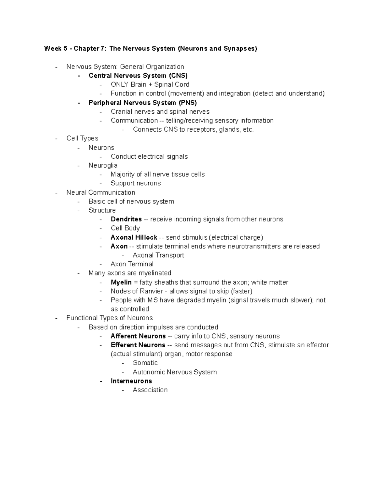 Human Physiology Exam 2 Notes - Week 5 - Chapter 7: The Nervous System ...
