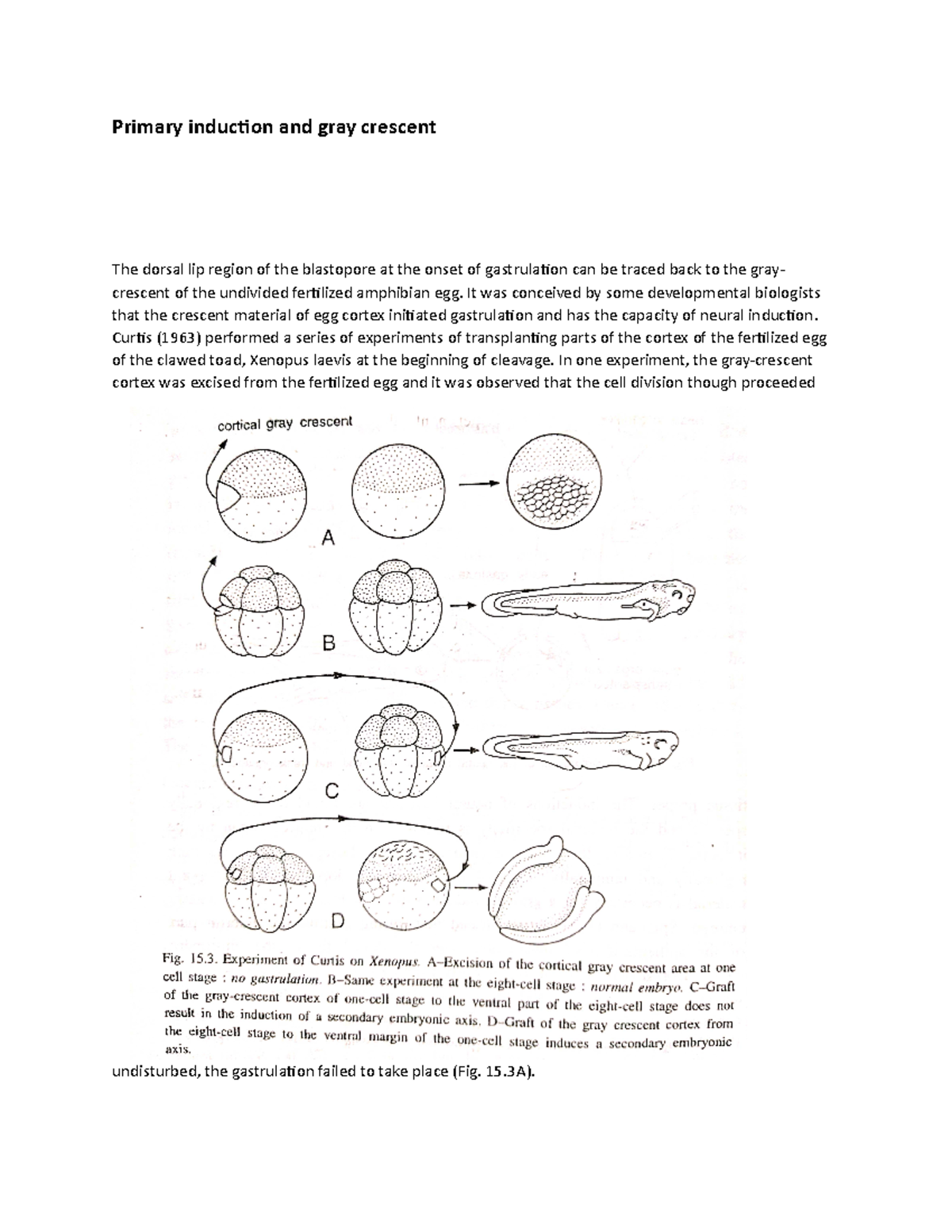 Primary induction and grey crescent - It was conceived by some ...