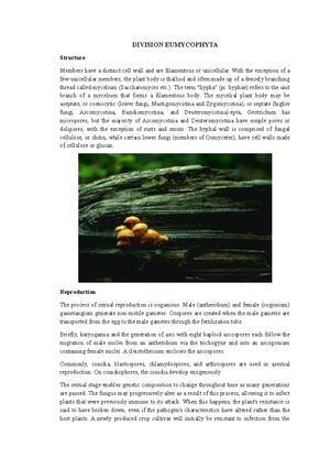 1 - Botany - Classification of Plants - DIVISION SCHIZOPHYTA A group of ...