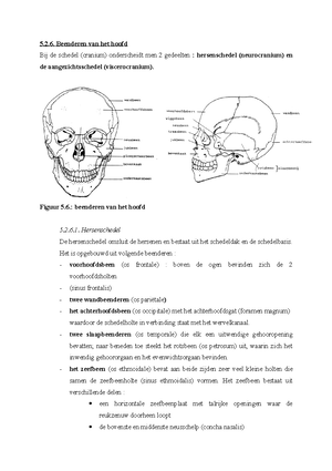H6 Het beenderstelsel - botten - HOOFDSTUK 6: HET BEENDERSTELSEL ...
