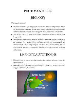 Photosynthesis PART 2 - PHOTOSYNTHESIS BIO 1 PHOTOSYSTEM A reaction ...