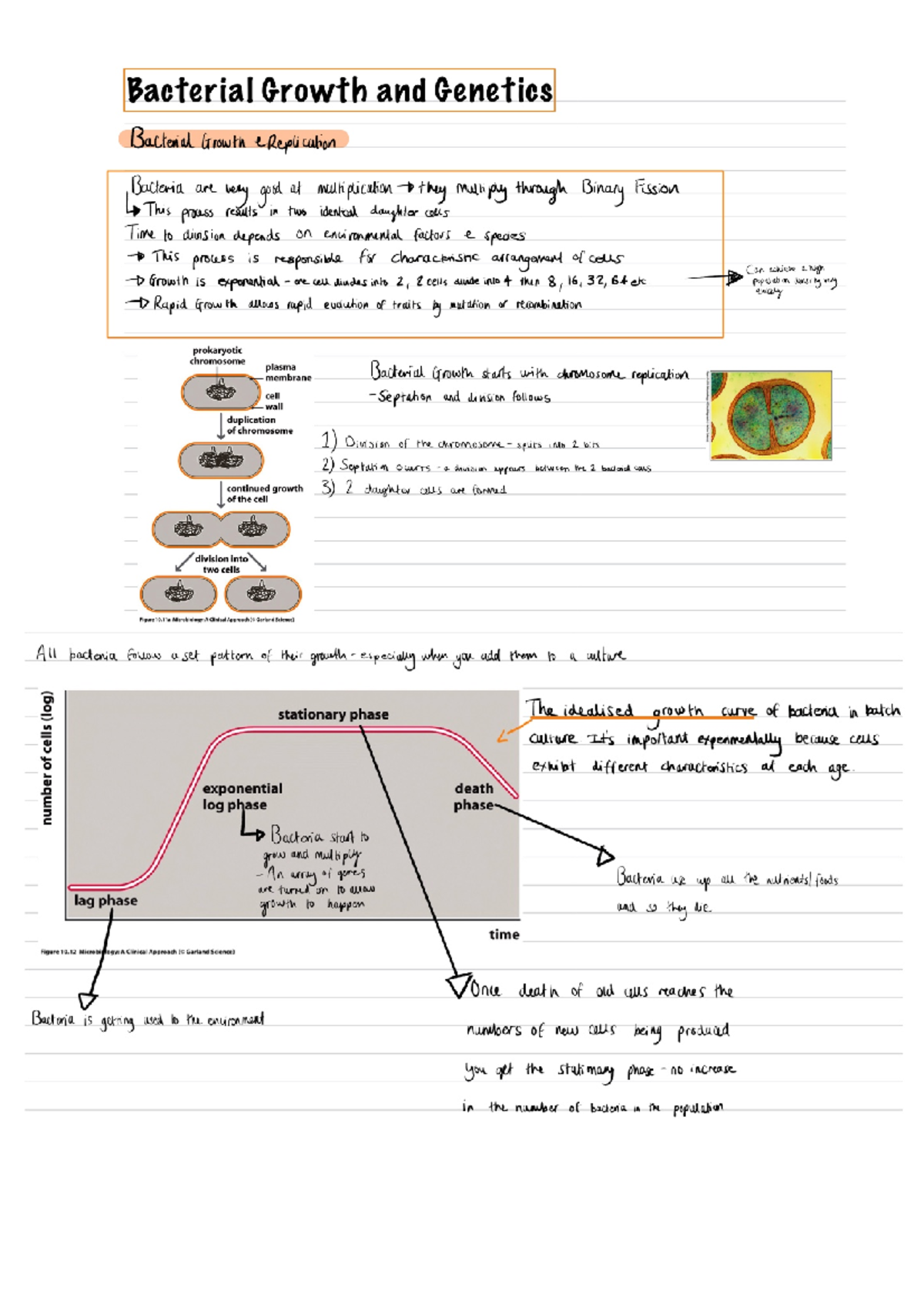 Bacterial growth and genetics - 4BM011 - Studocu