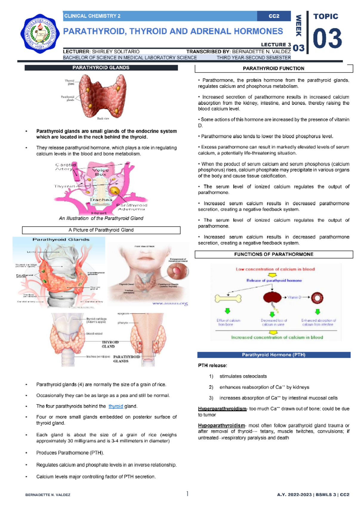 3- Parathyroid Glands - CLINICAL CHEMISTRY - CLINICAL CHEMISTRY 2 CC2 TOPIC COLLEGES PARATHYROID ...