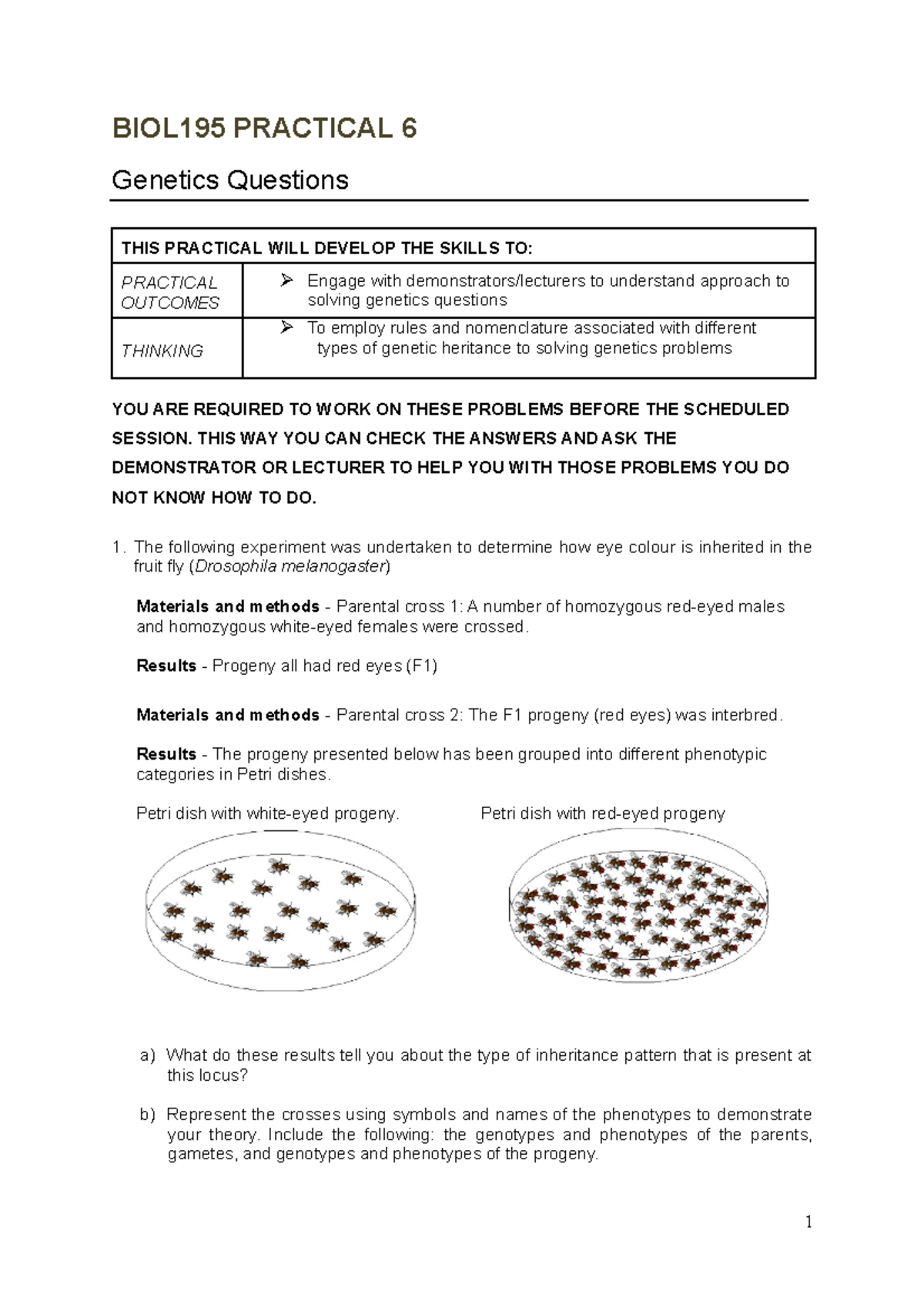 PRAC 6 Genetics Questions Student - BIOL195 PRACTICAL 6 Genetics ...