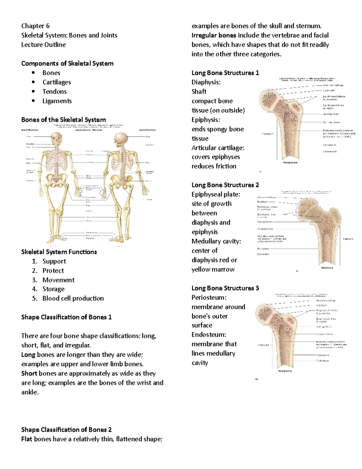 Anaphy-6 - Lecture outline - Chapter 6 Skeletal System: Bones and ...