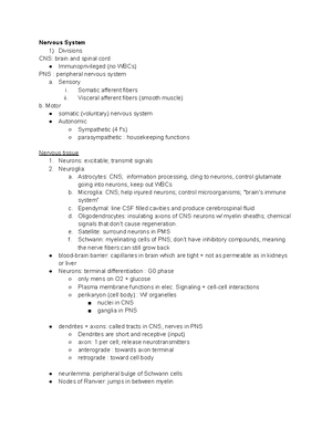 Nervous System Exam Study Guide - Chapters 11, 12, 13: Nervous System ...