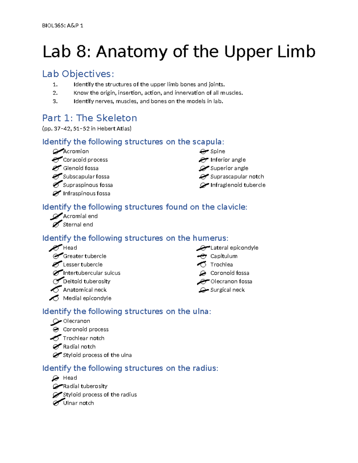 Lab 8 - Upper Limb Lab - lab - Lab 8: Anatomy of the Upper Limb Lab ...