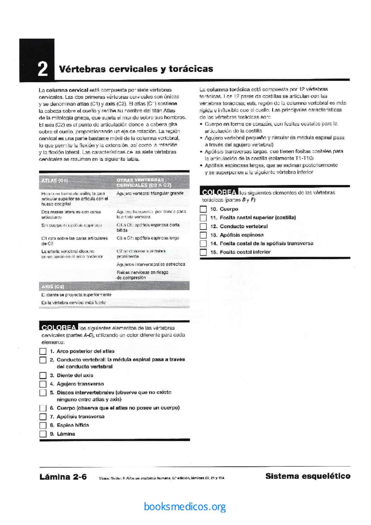 Netter Cuaderno De Anatomia Para Colorear Booksmedicos Anatomia 1