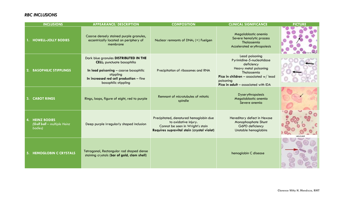 Hematology-3-1 - Hema notes - RBC INCLUSIONS Clarence Witty H. Mendoza ...