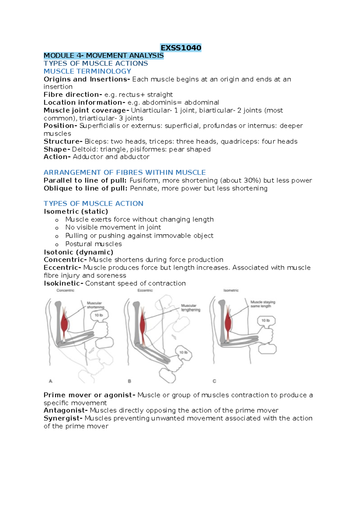 WEEK 4- Movement Analysis - EXSS MODULE 4- MOVEMENT ANALYSIS TYPES OF ...
