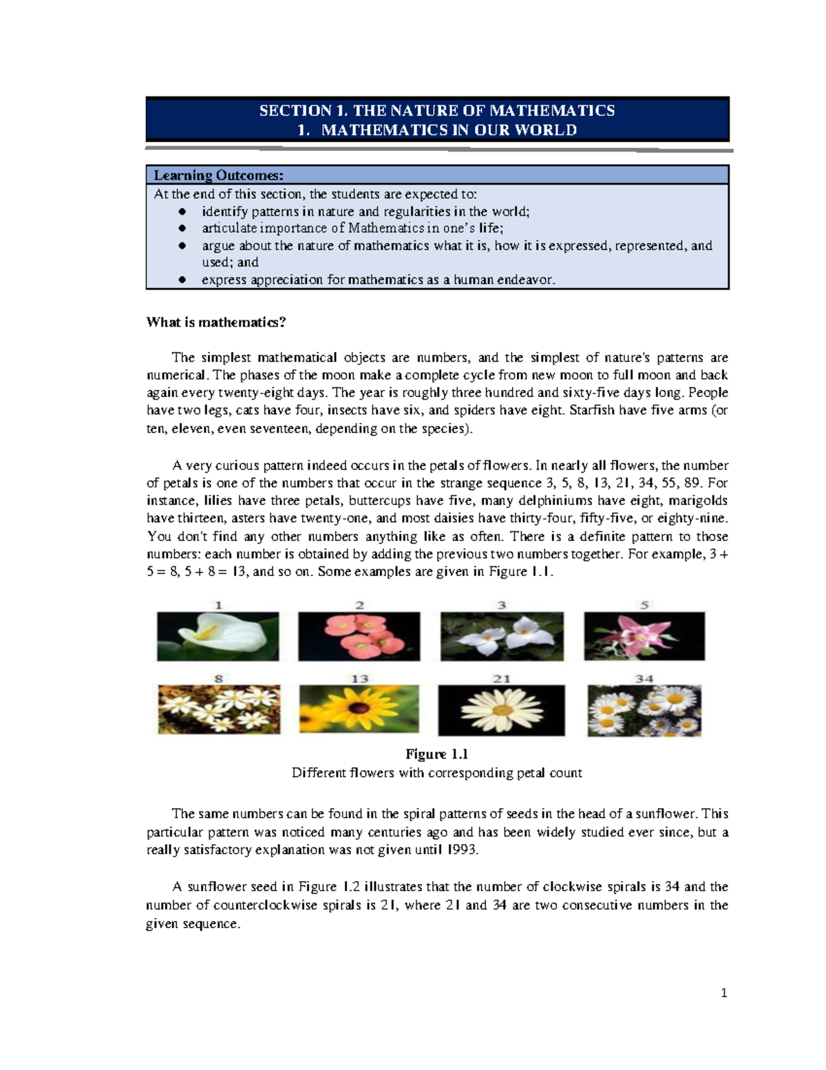 Section-1-Nature-of-Mathematics Mathematics-in-our-World - SECTION 1 ...