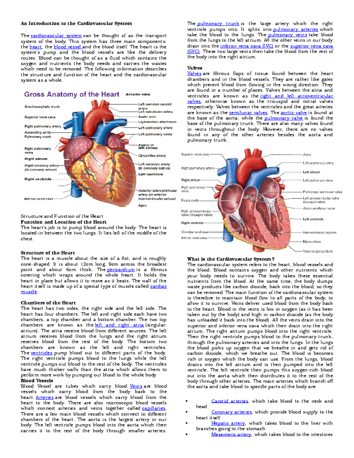 An Introduction to the Cardiovascular System - This system has three ...