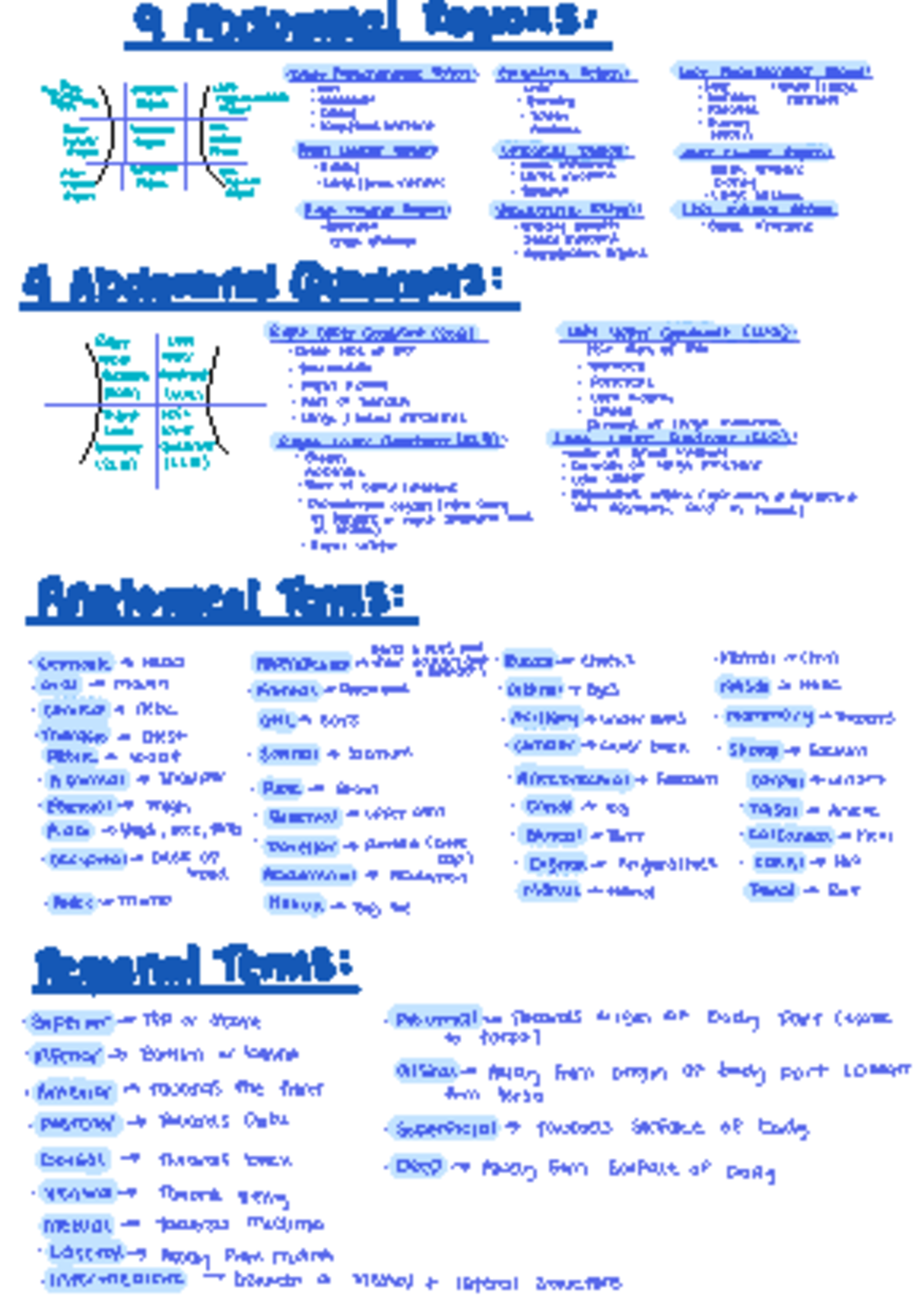 Abdominal Regions & Quadrants Regional Terms & Anatomical Terms - 9 ...