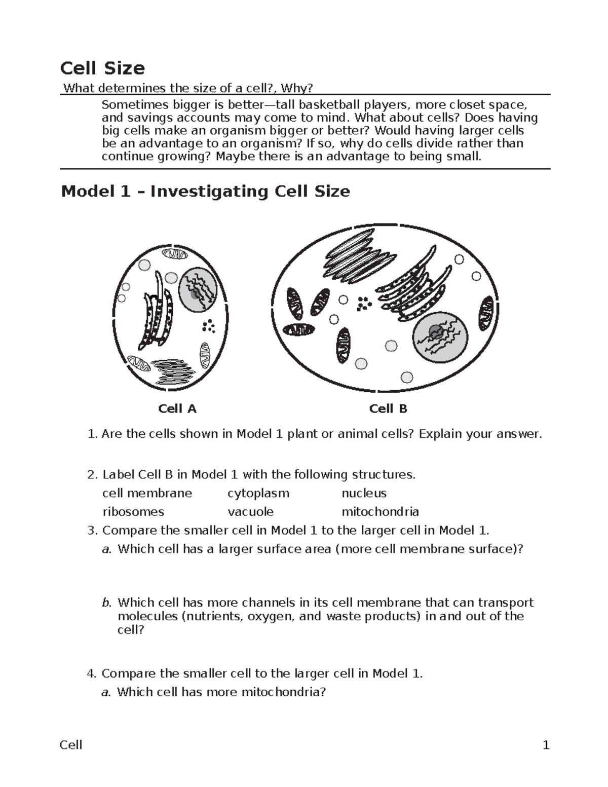 Pogil Cell Size - Answer key bachillerato 20l3 - Cell Size 1 Cell Size ...