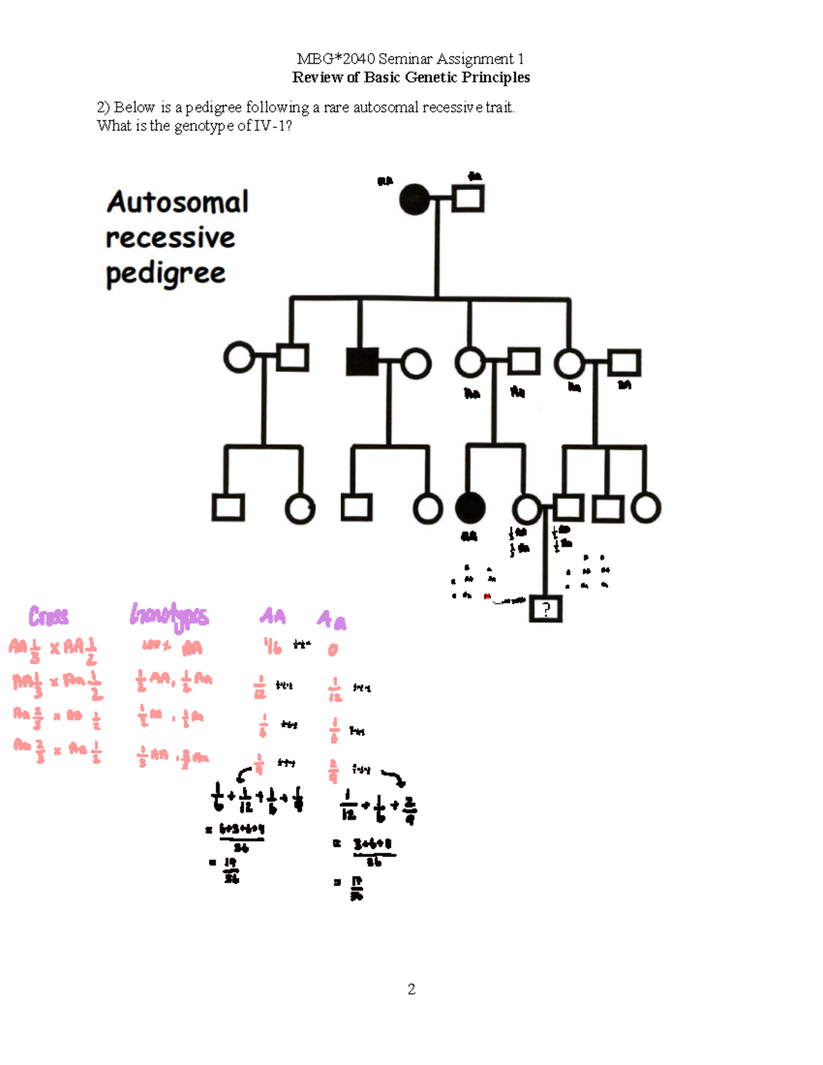 Review of Basic Principles-Seminar 1 - MBG*2040 Seminar Assignment 1 ...