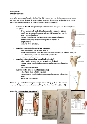 Houding en beweging H4 anatomische stand en beweging van de ...