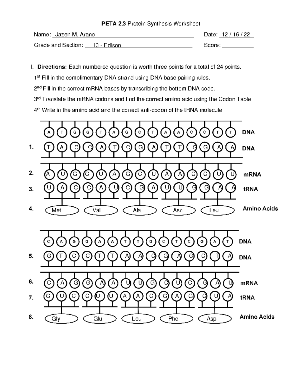 PETA 2.3 Protein Synthesis - PETA 2 Protein Synthesis Worksheet Name ...