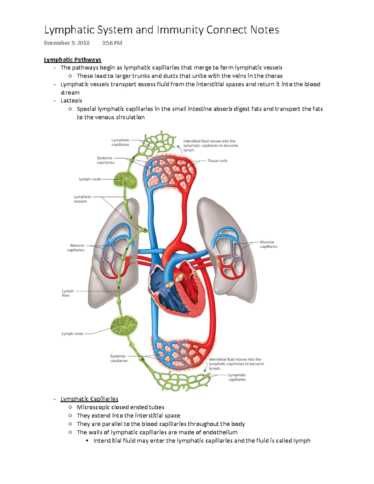 Lymphatic System Notes - Lymphatic System and Immunity Connect Notes ...