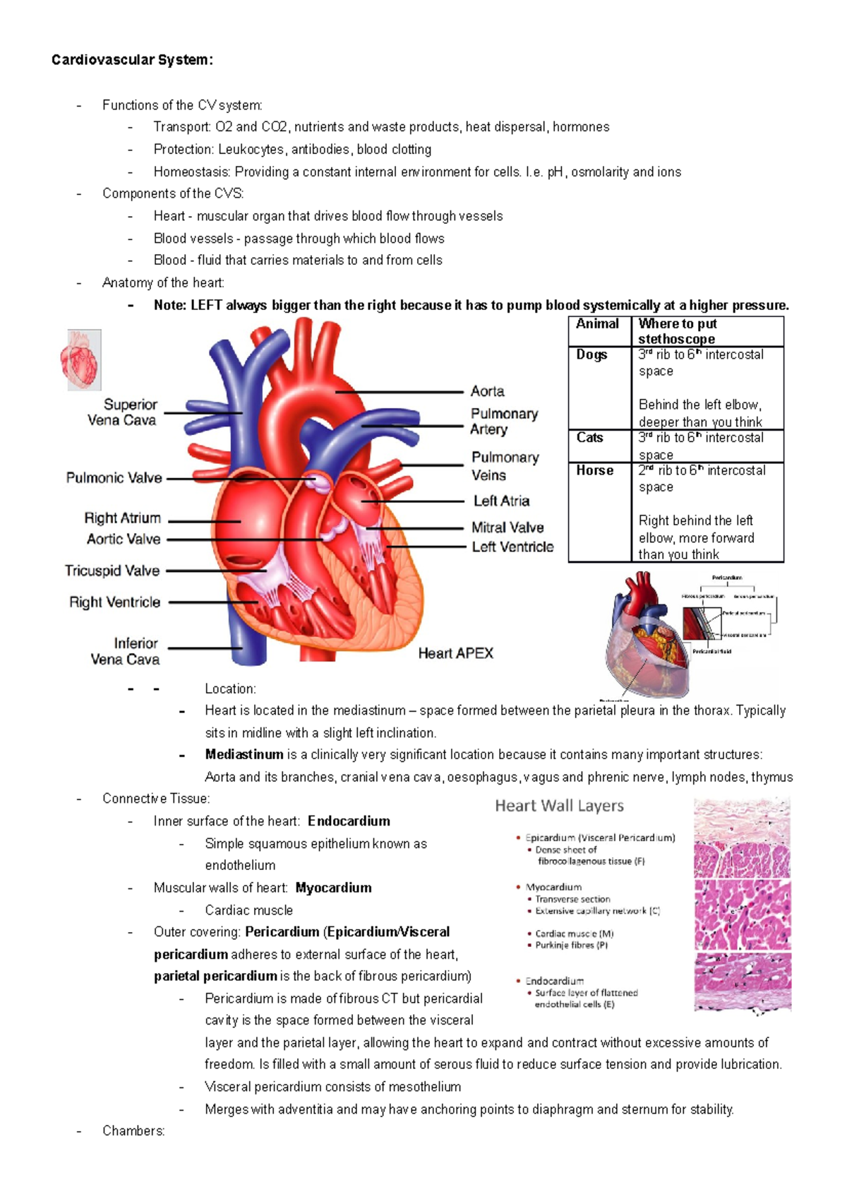 ANS221 - Cardiovascular System - Cardiovascular System: Functions of ...
