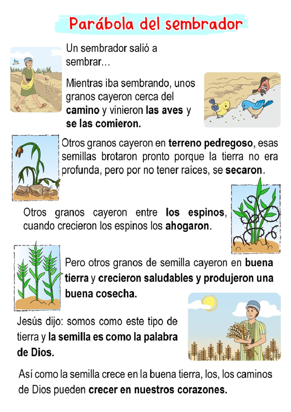 20 Ficha Parábola DEL Sembrador - Lenguaje II - Responde a las ...