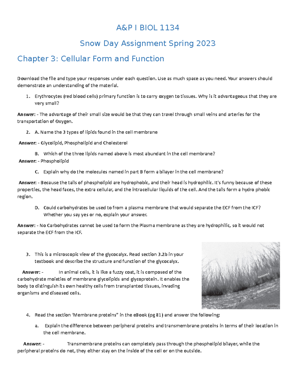 Chapter 3 snowday assignment Sp 23 - A&P I BIOL 1134 Snow Day ...