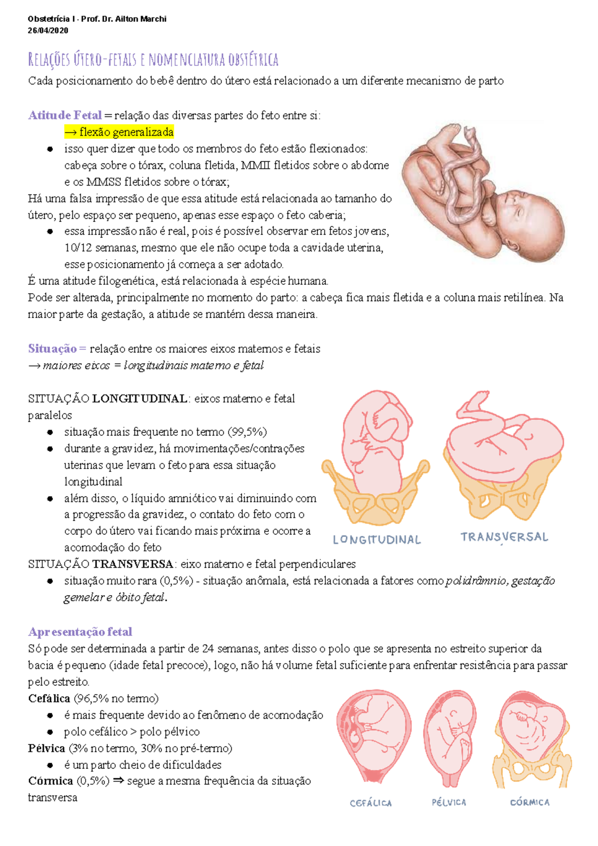 8. Estatica fetal - huhuh - Obstetrícia I - Prof. Dr. Ailton Marchi 26 ...