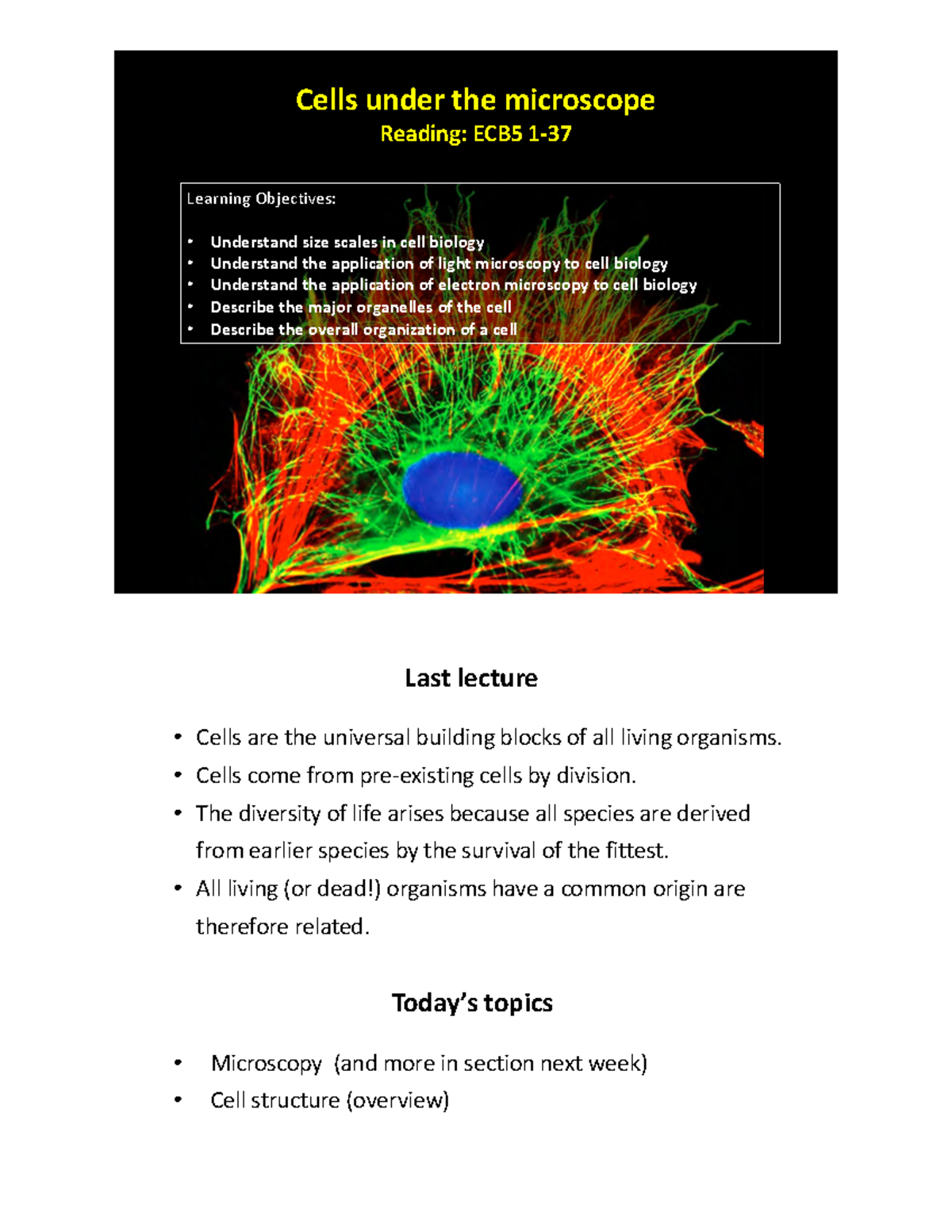 Lecture 2, 2021. Cells under the Microscope - Cells under the ...