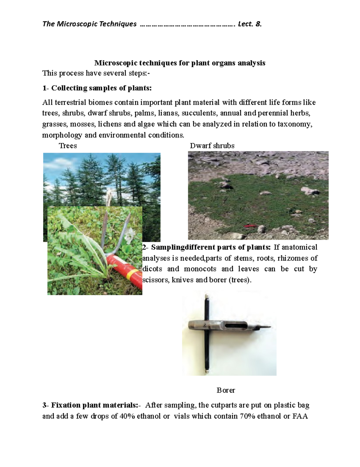 Microscopic techniques for plant organs analysis - Trees Dwarf shrubs 2 ...