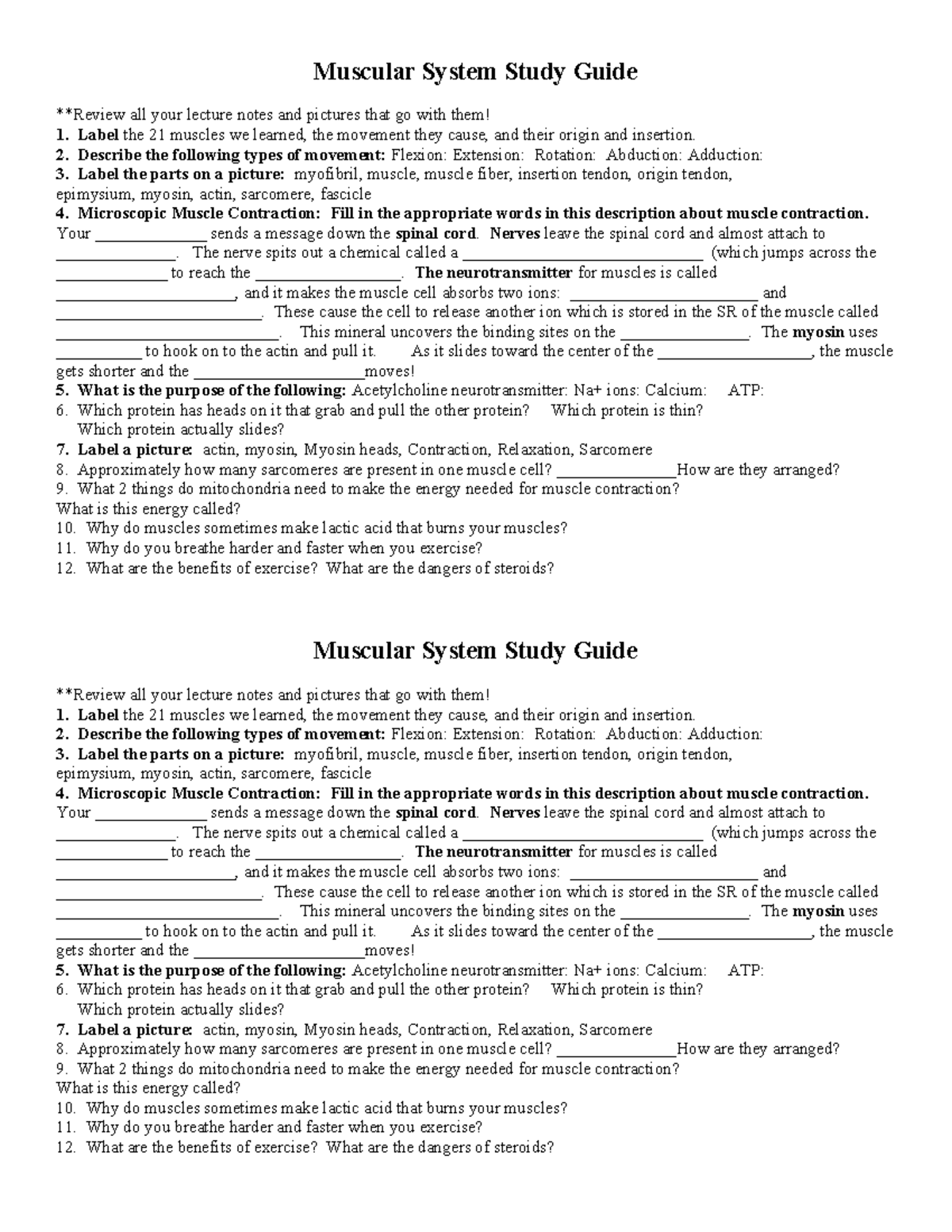 Study Guide for Muscular System - Muscular System Study Guide **Review ...