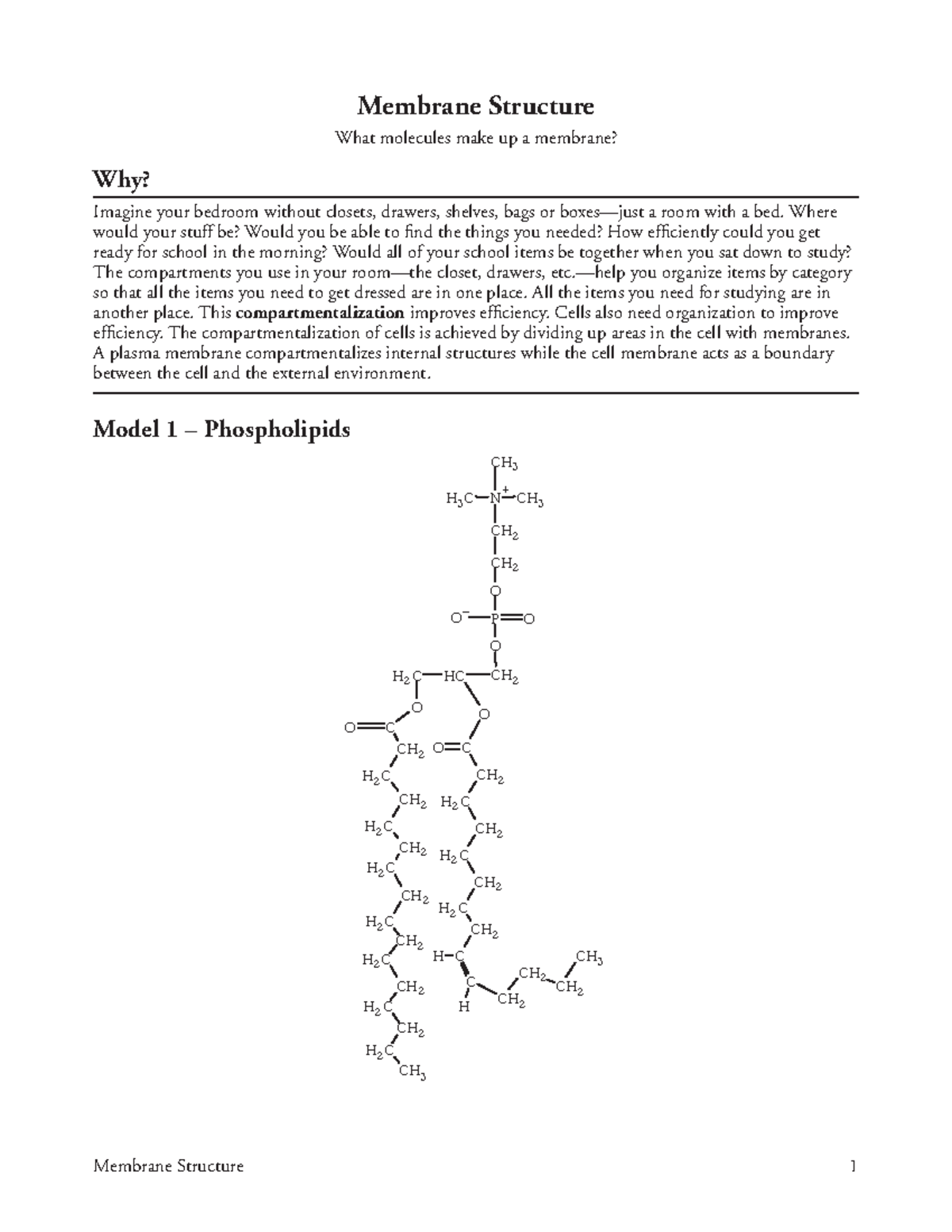 4 Membrane Structure S Membrane Structure 1 Membrane Structure What
