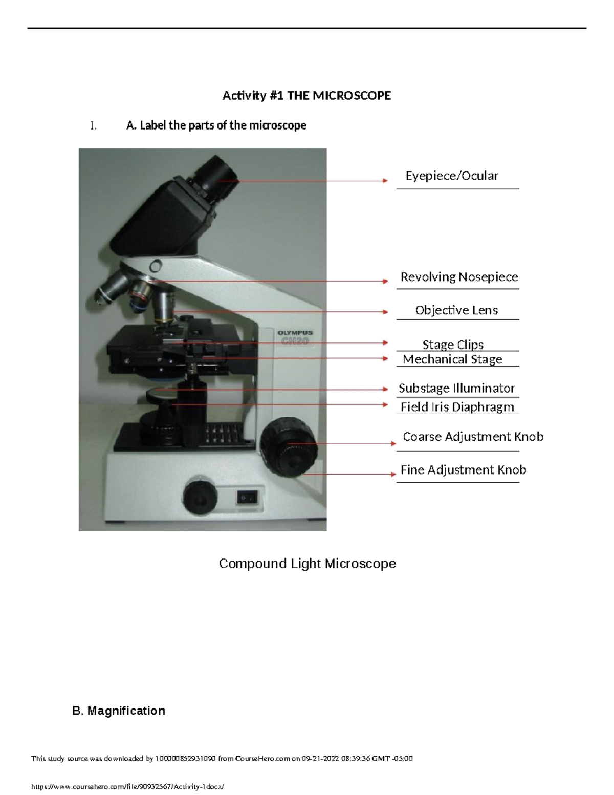 Activity 1 - Nothing but these will help - Activity #1 THE MICROSCOPE I ...
