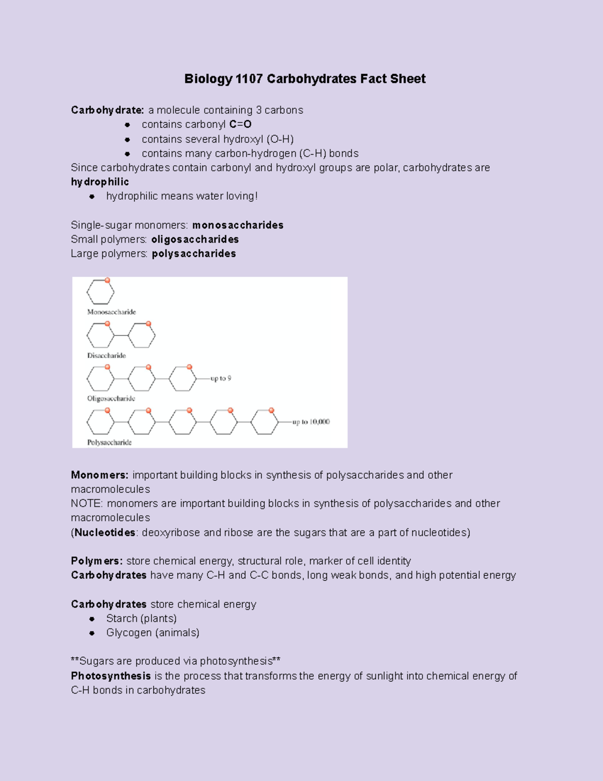 Biology 1107 Carbohydrates Notes - Biology 1107 Carbohydrates Fact ...