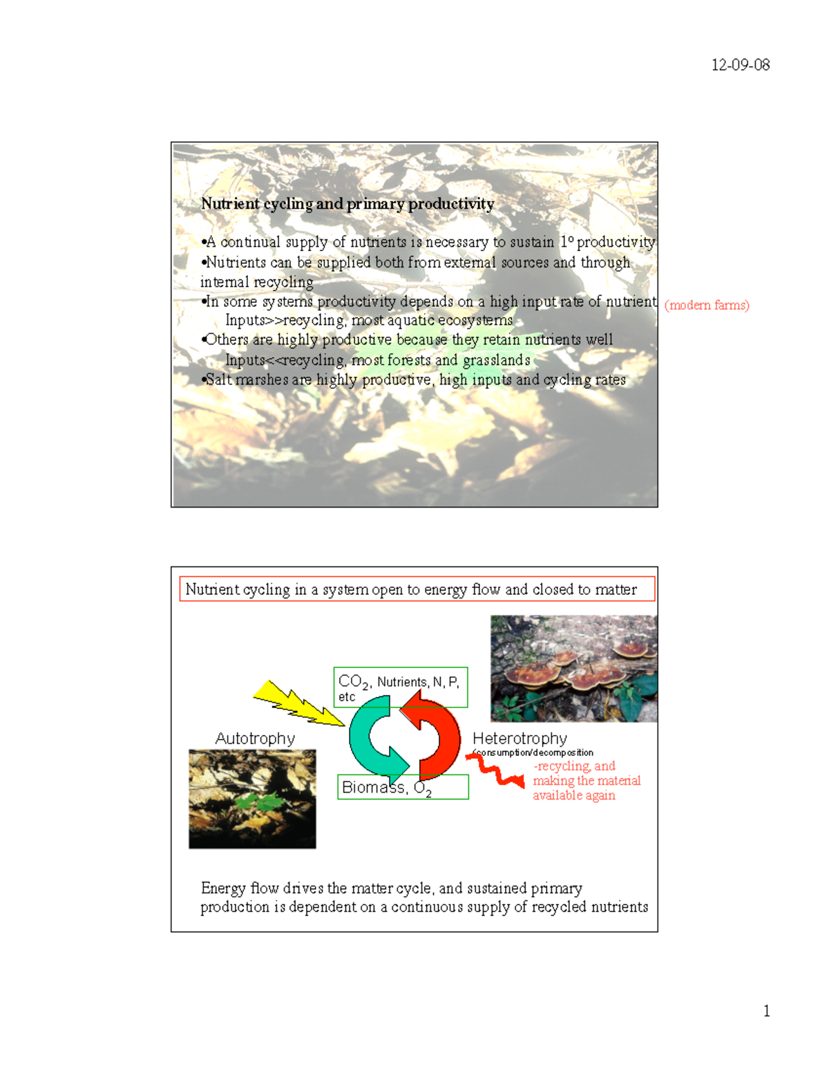 Lecture 23-Nutrient Regeneration - Nutrient cycling and primary ...