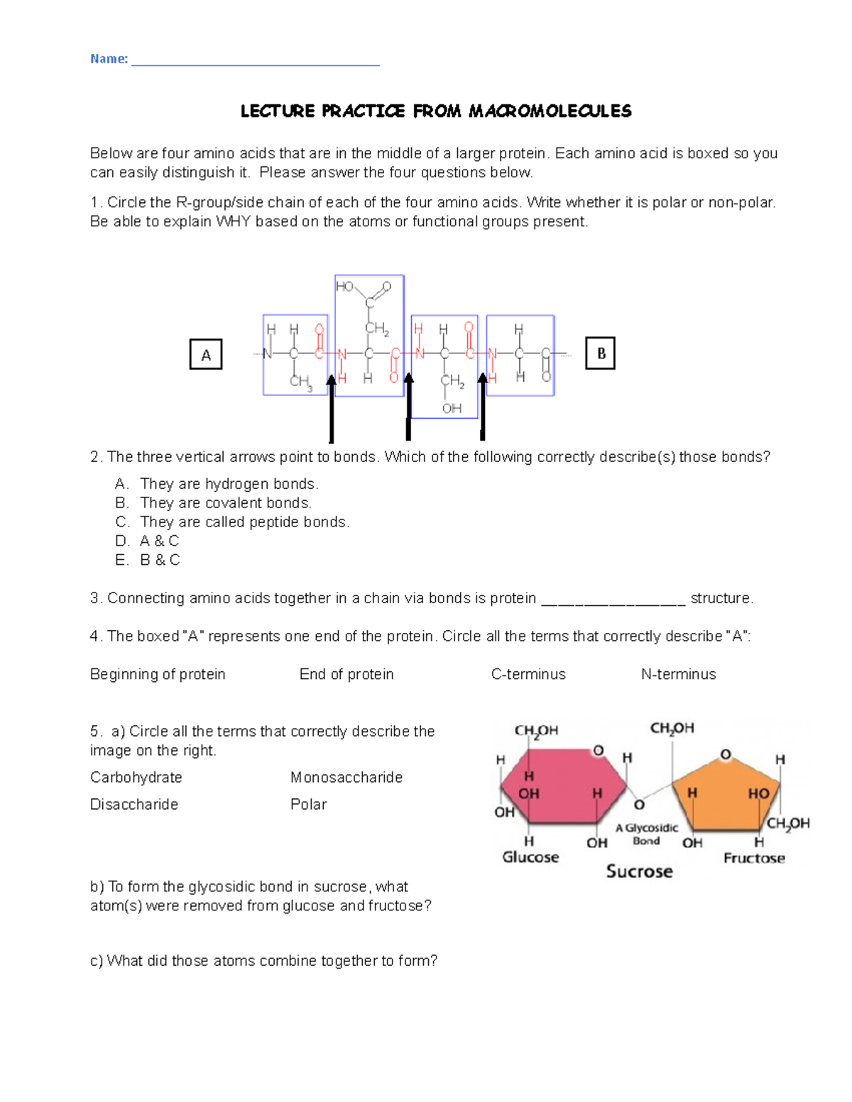 Lecture Practice FROM Macromolecules - Name ...