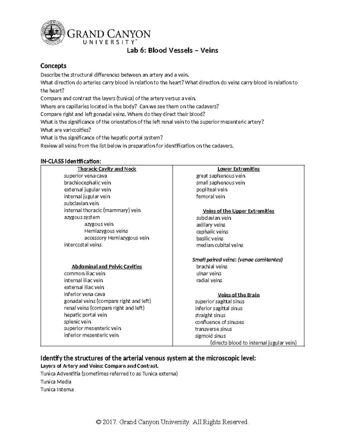 BIO-211L-Lab 6-Veins - Terms list - Lab 6: Blood Vessels – Veins ...