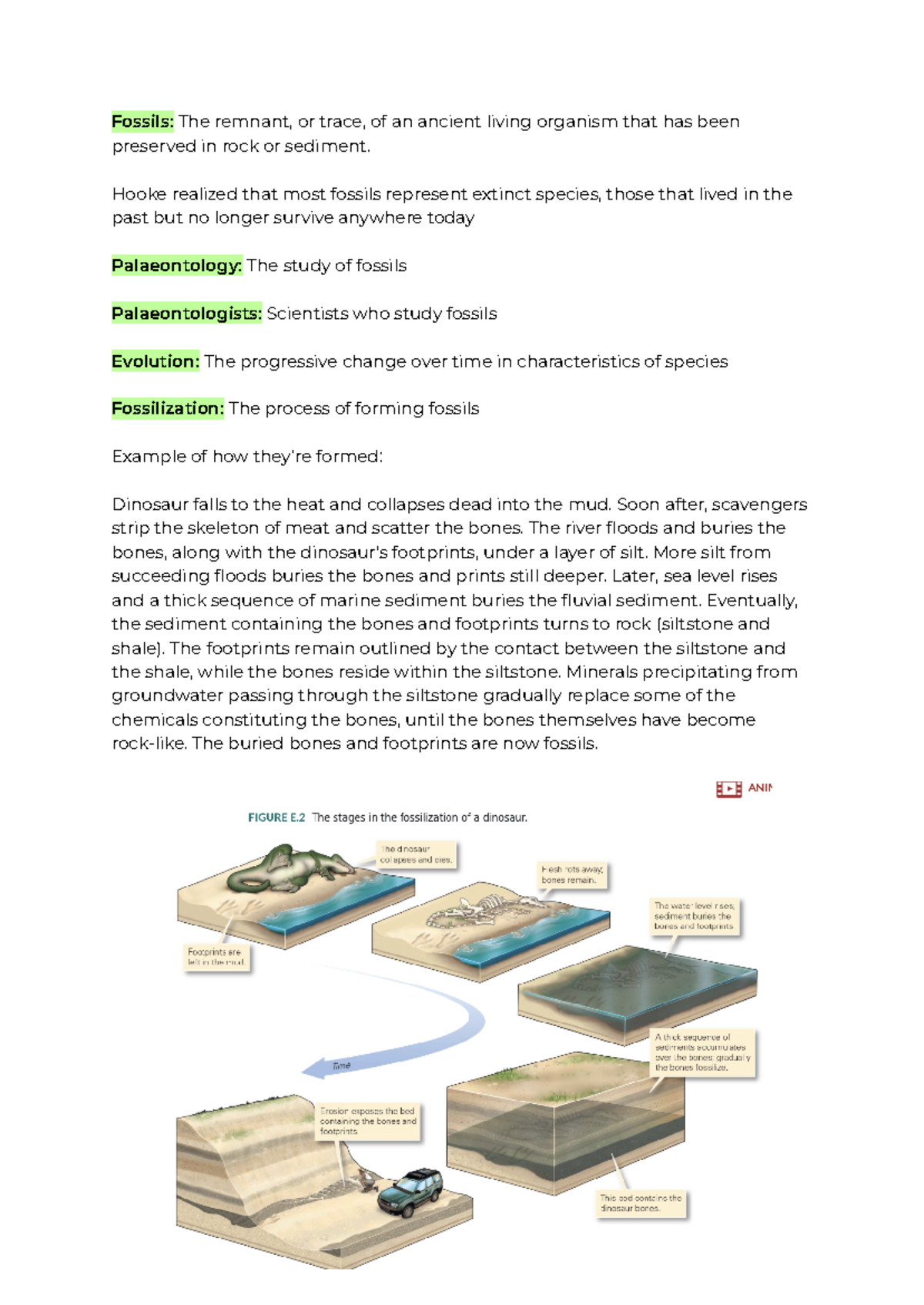 Geological Structures and Fossils - Fossils: The remnant, or trace, of ...