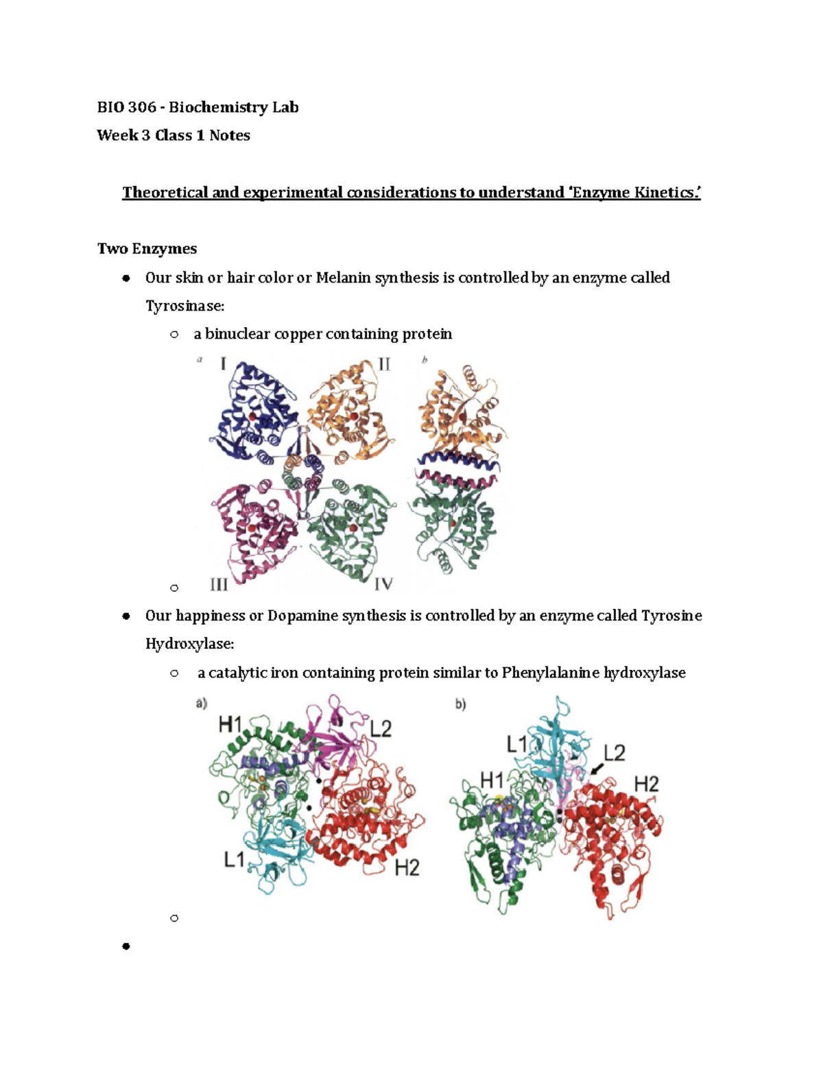 BIO 306 Week 3 Class 1 Notes Summer 2021 - BIO 306 - Biochemistry Lab ...