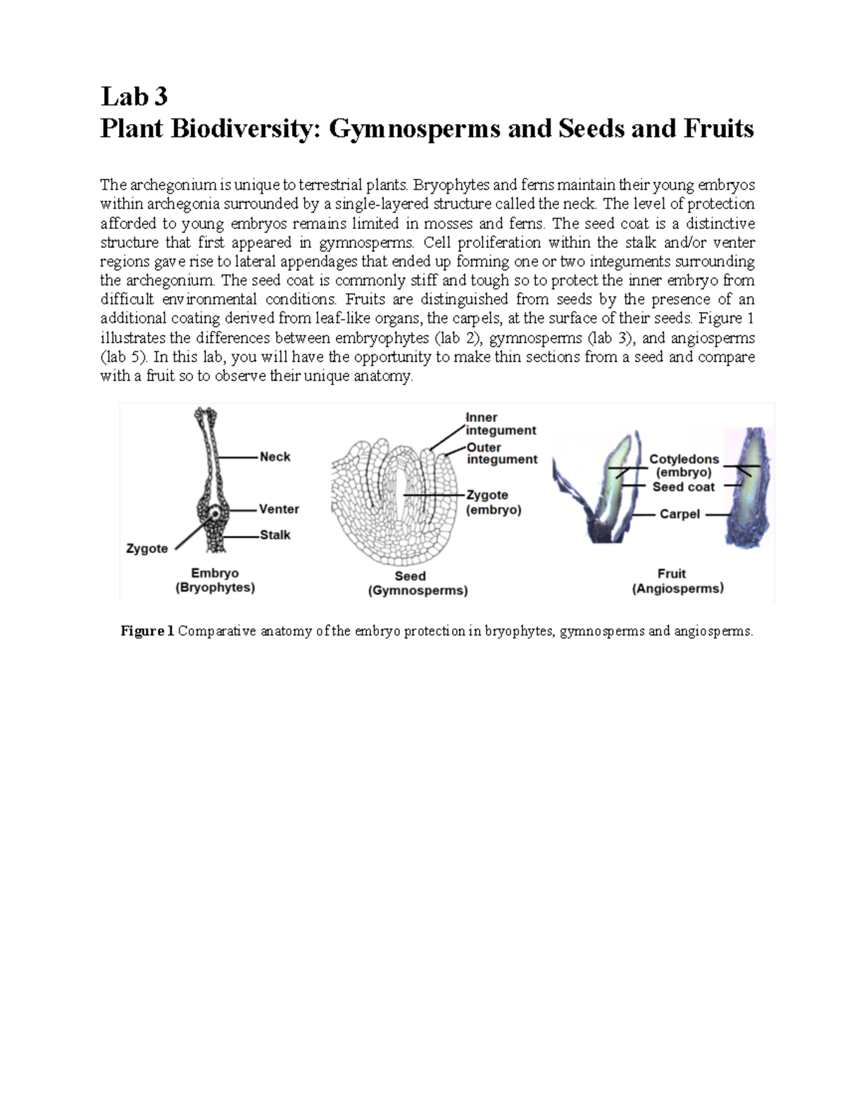 Lab3 - lab 3 for plant science bio class - Lab 3 Plant Biodiversity ...