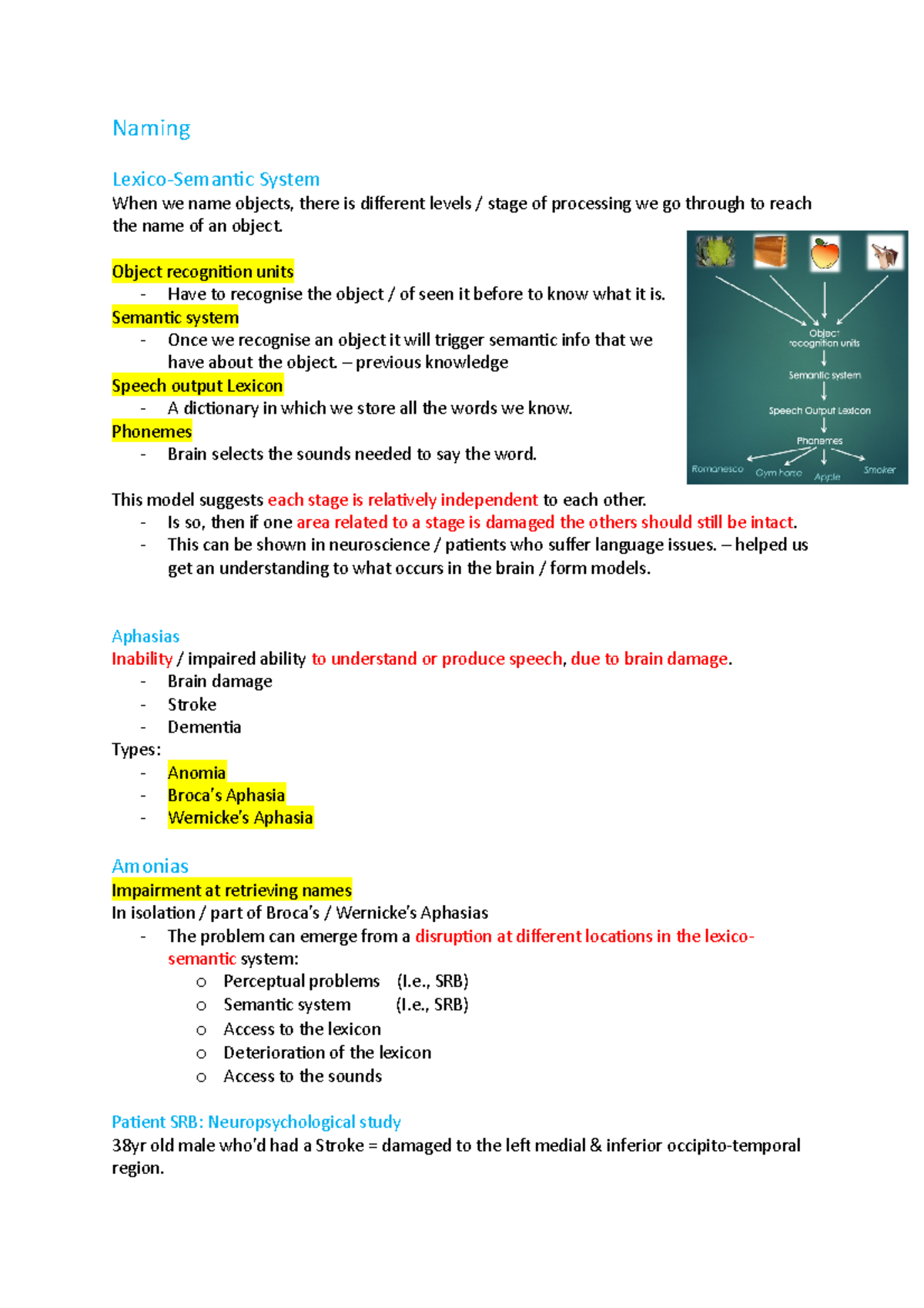 Naming - Naming Lexico-Semantic System When we name objects, there is ...
