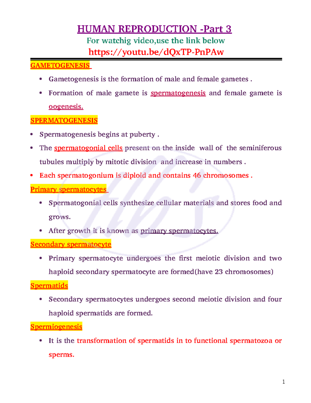 Spermatogenesis - It's a lecture note - HUMAN REPRODUCTION -Part 3 For ...