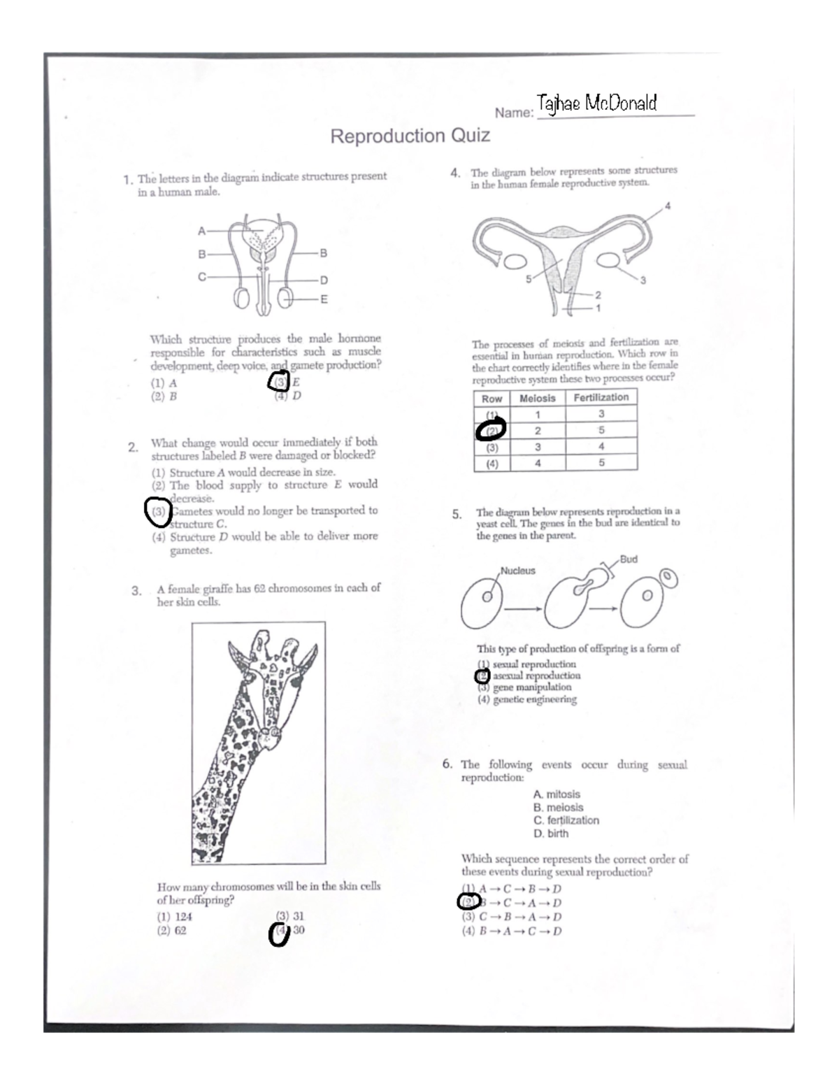 Reproduction Quiz - This is to help anyone who is struggling with ...