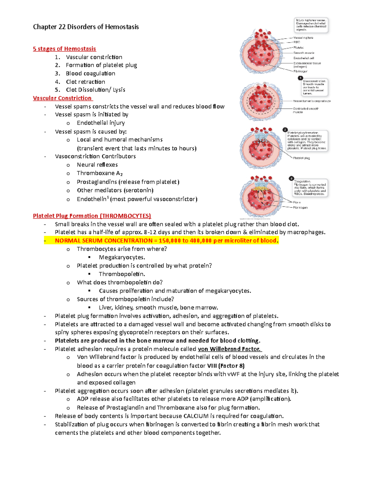 Disorders Of Hemostasis Notes Review Pathophysiology 5 Stages Of