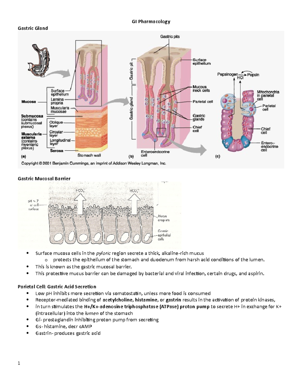 2-7 GI Pharmacology - summary - GI Pharmacology Gastric Gland Gastric ...