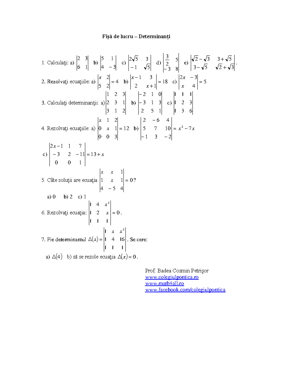 0 fisa de lucru determinanti - Fișă de lucru – Determinanți Calculați ...