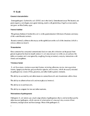 Calculus 11 Sequences and Series - 11 Sequences and Series Consider the following sum: 1 2 + 1 4 ...