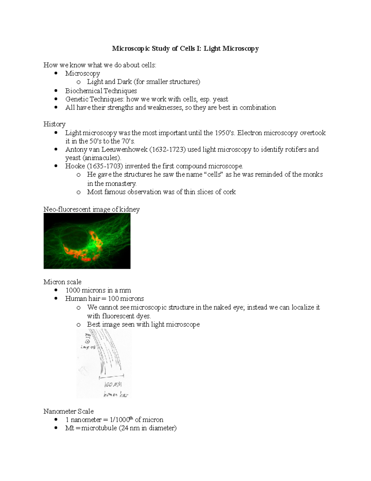 Microscopy I - Lecture notes - Microscopic Study of Cells I: Light ...