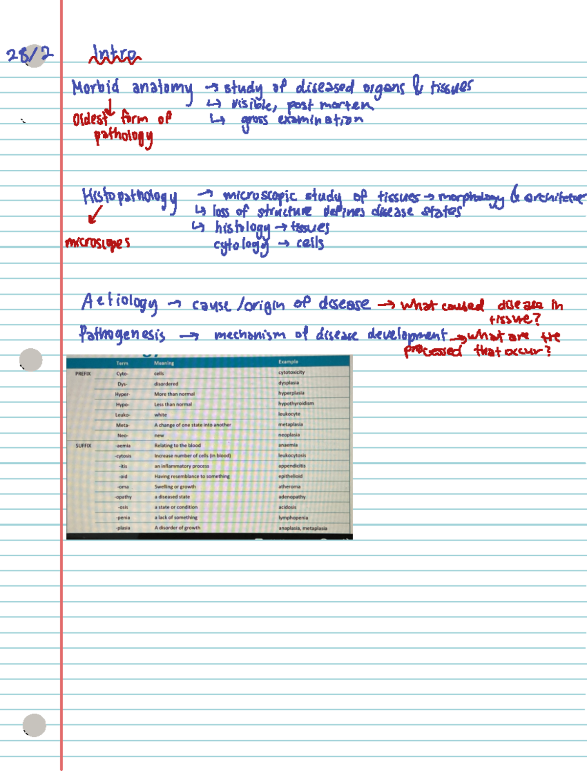 Section 1 introduction - 2812 Introm Morbid anatomy study of diseased organs tissues visible ...