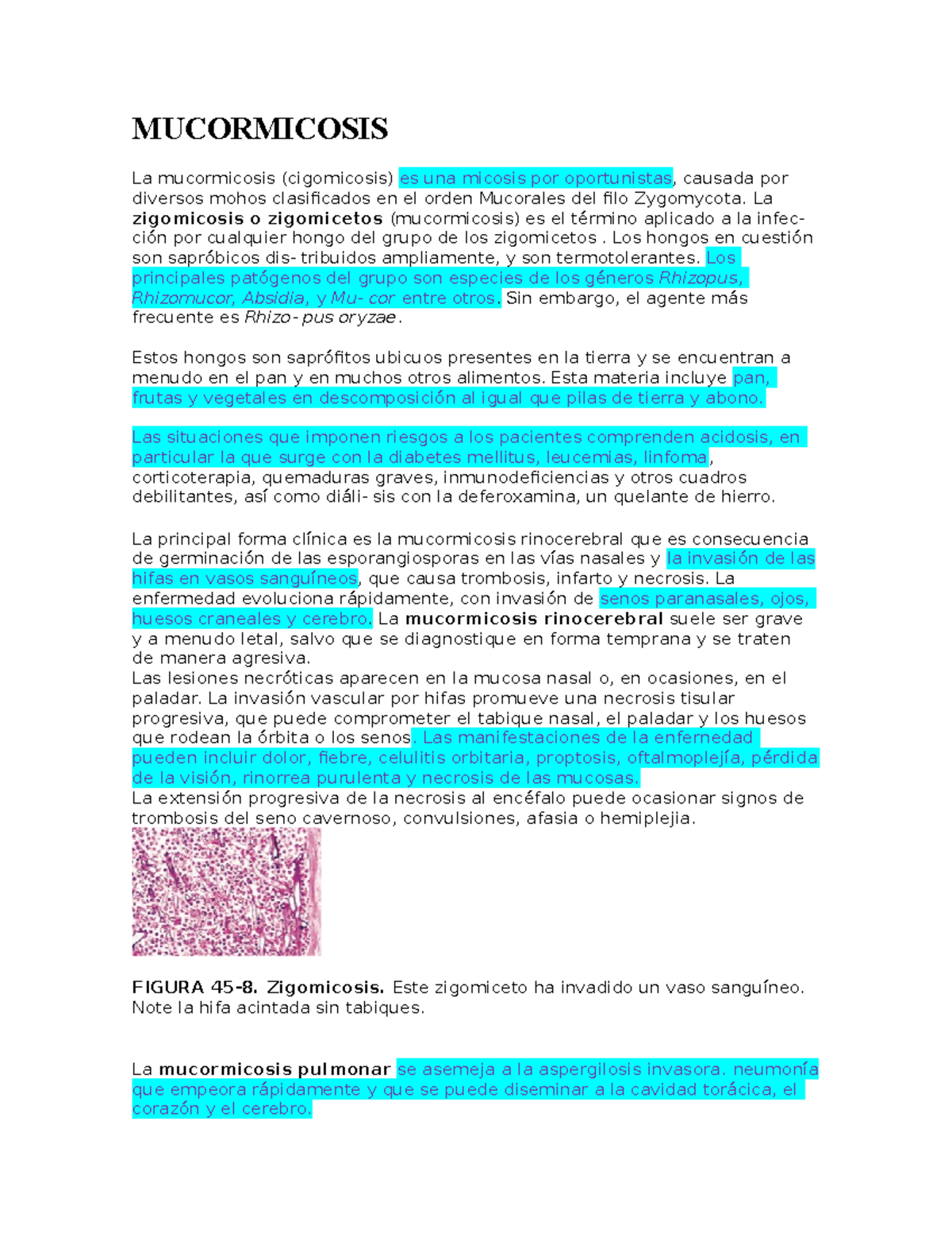 Hongos - Apuntes útiles si estudias medicina - MUCORMICOSIS La ...